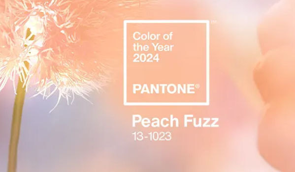 PANTONE® Color of the Year 2024 / PANTONE 13-1023 Peach Fuzz ...